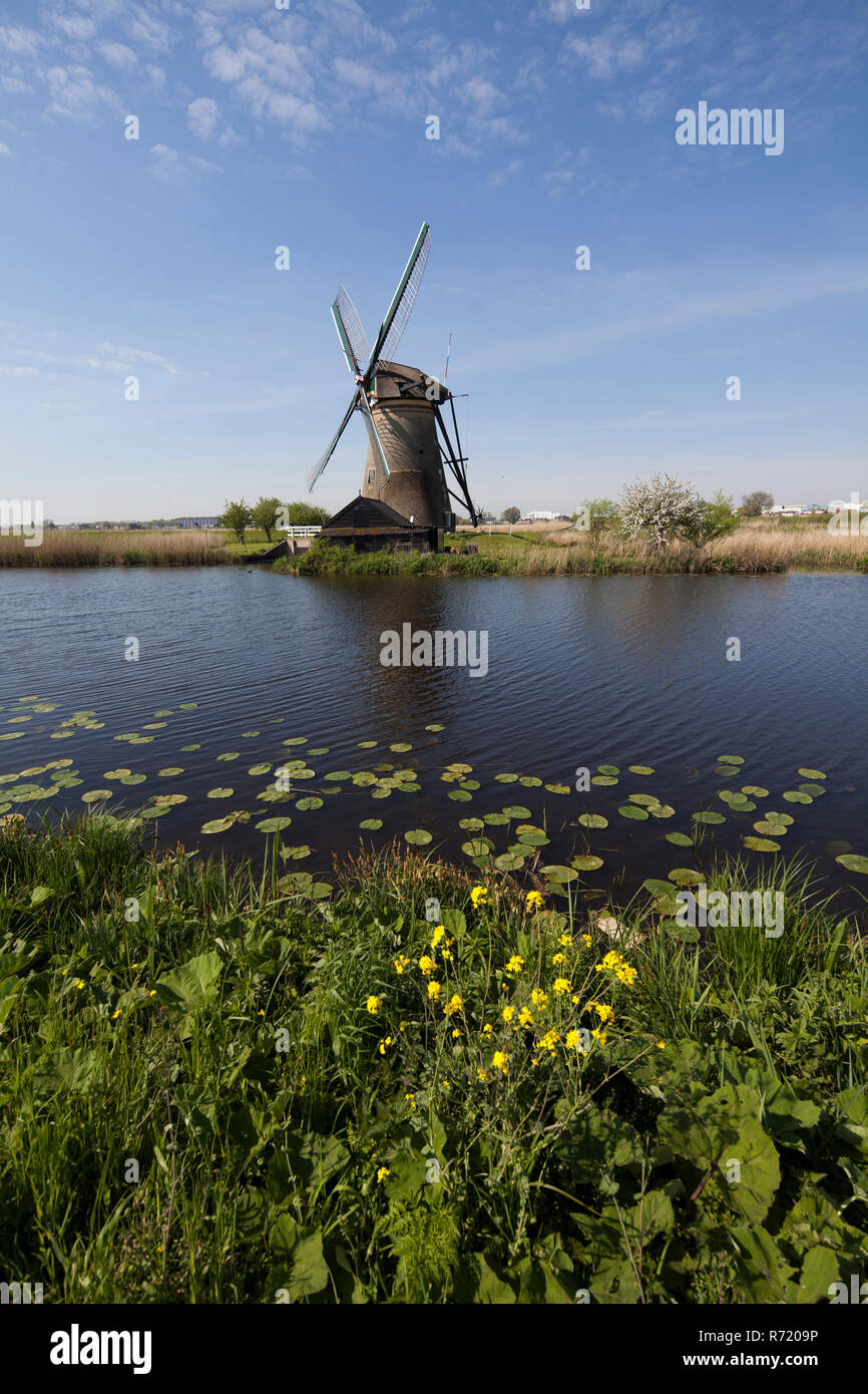 Traditional old windmills in Netherlands Stock Photo - Alamy