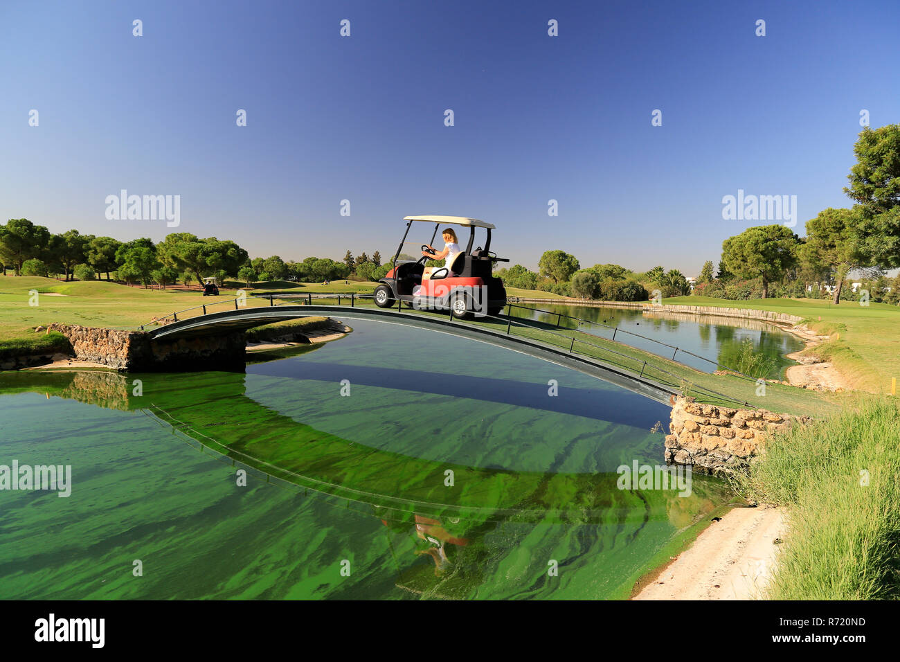 Golf cart (buggy) crossing bridge over river Stock Photo - Alamy