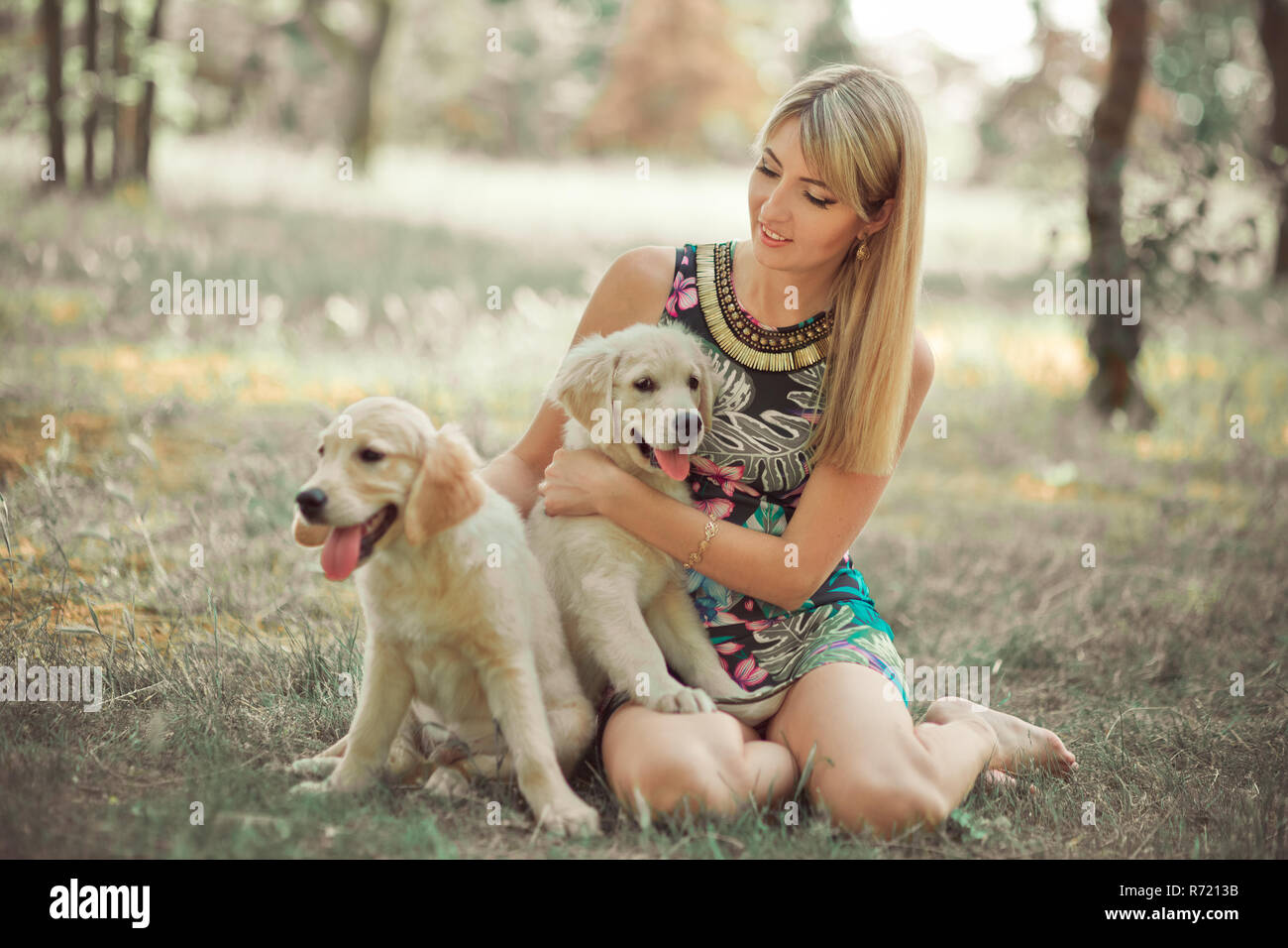 Retriever pup Lovely scene beautifull blond lady woman enjoy posing ...