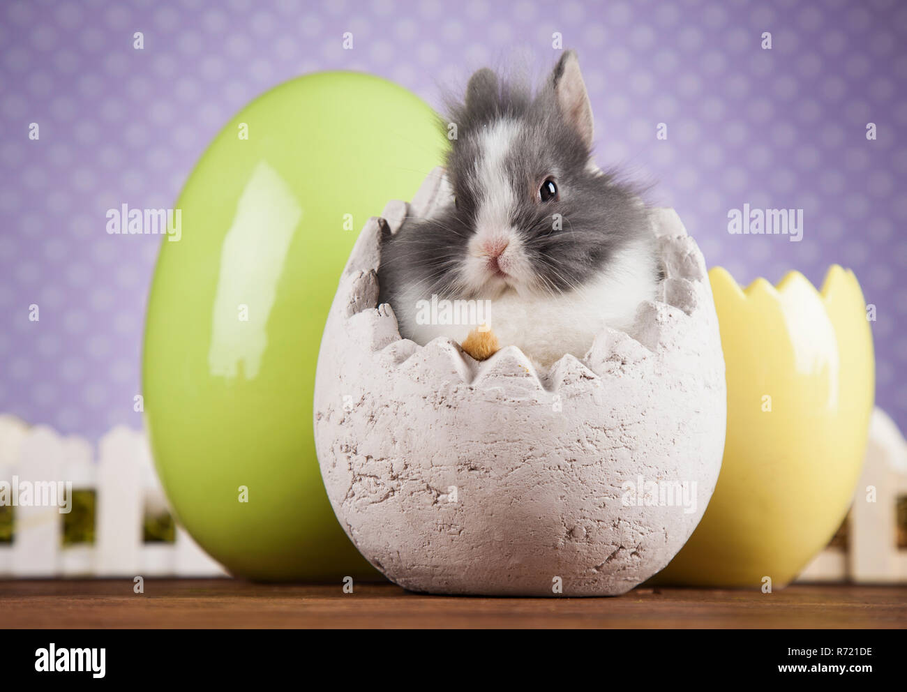 Happy easter, Baby bunny Stock Photo - Alamy