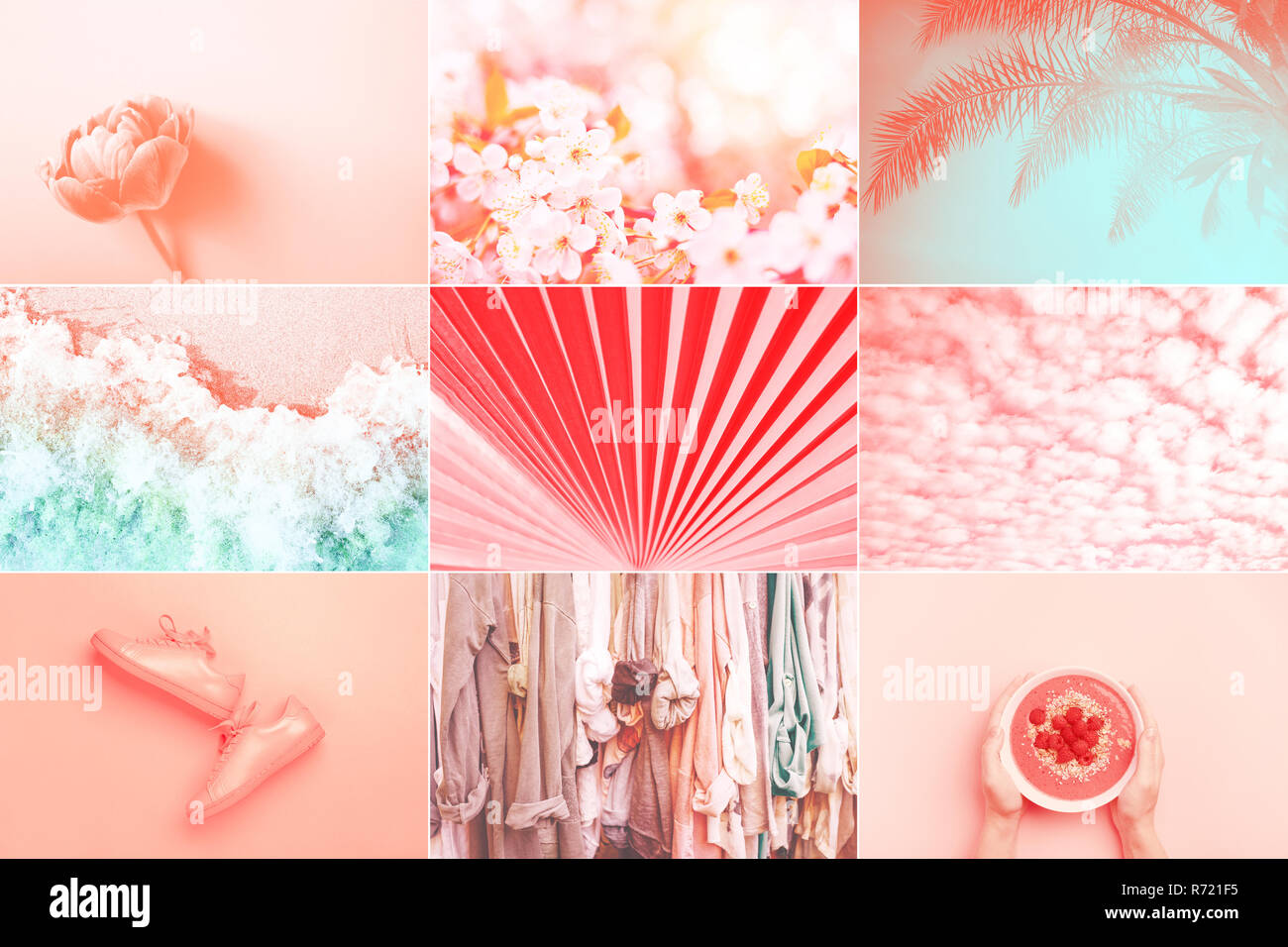 Collage made of nine photos in trendy living coral color. Trendy color ...
