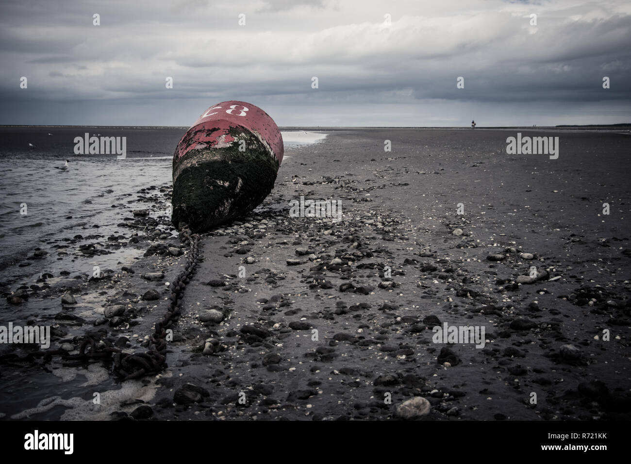 buoy on beach Stock Photo - Alamy