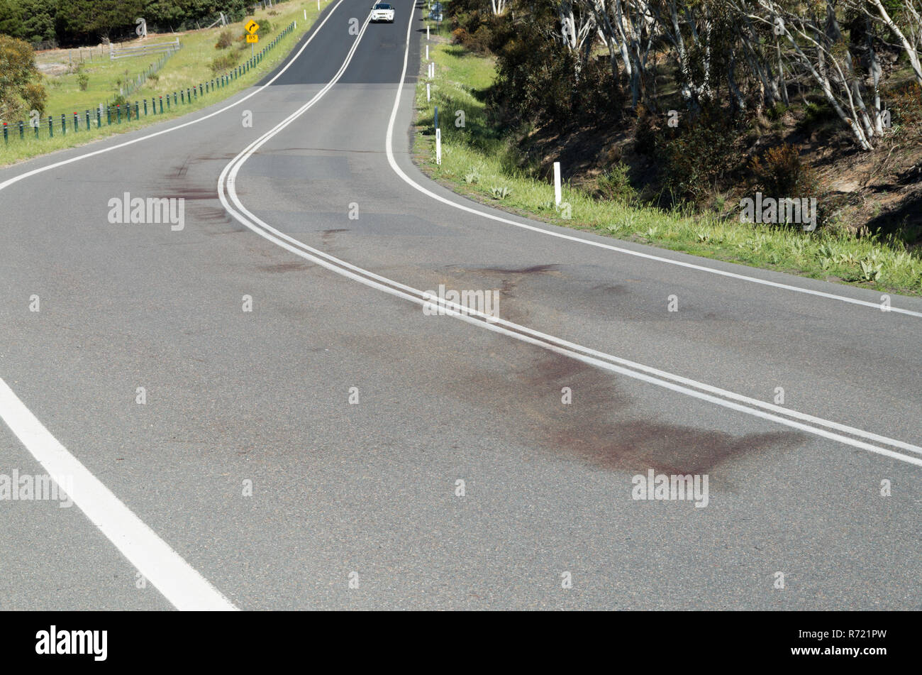 Large blood stain on a corner of rural road after wildlife was hit and ...