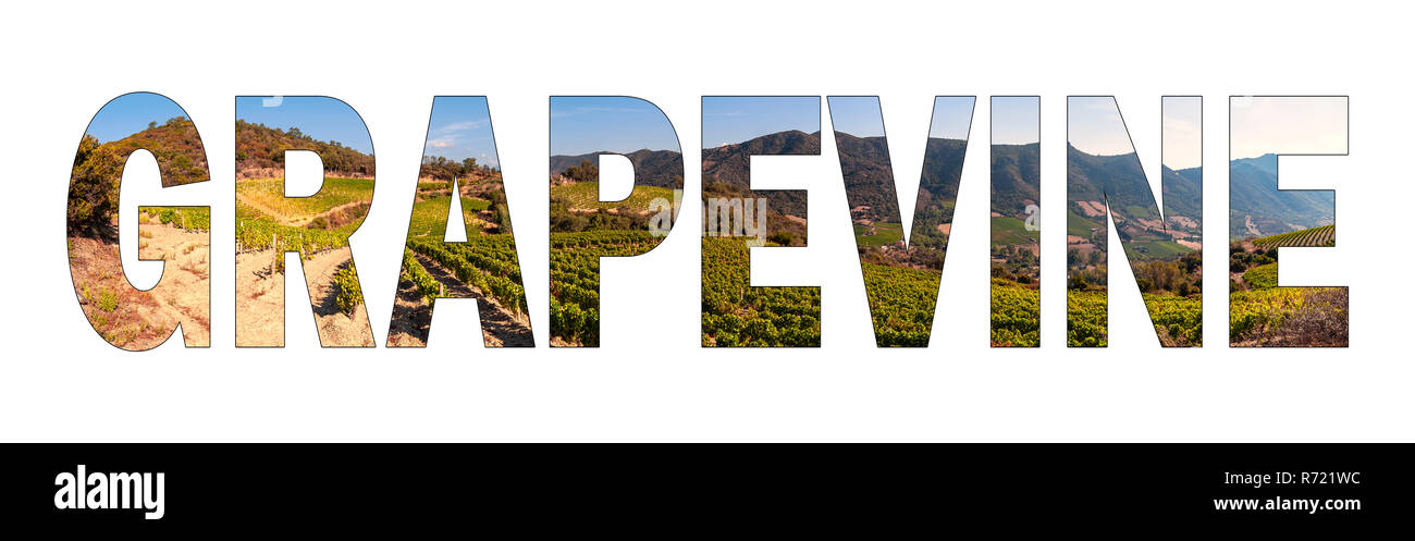 Grapes farming sun Cut Out Stock Images & Pictures - Alamy