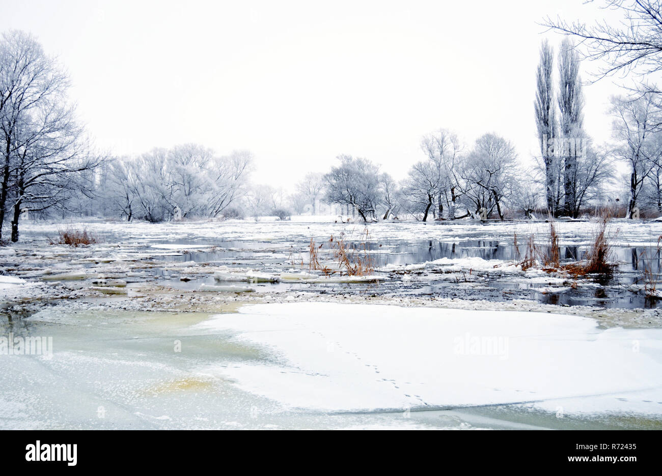 Cold frosty landscapes hi-res stock photography and images - Alamy