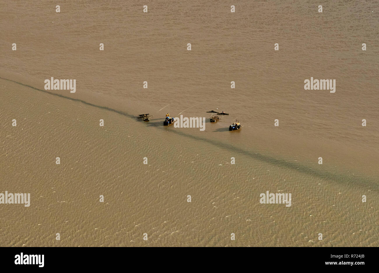 Cockle Pickers at work, Morecambe Bay, at Low tide, North West England ...
