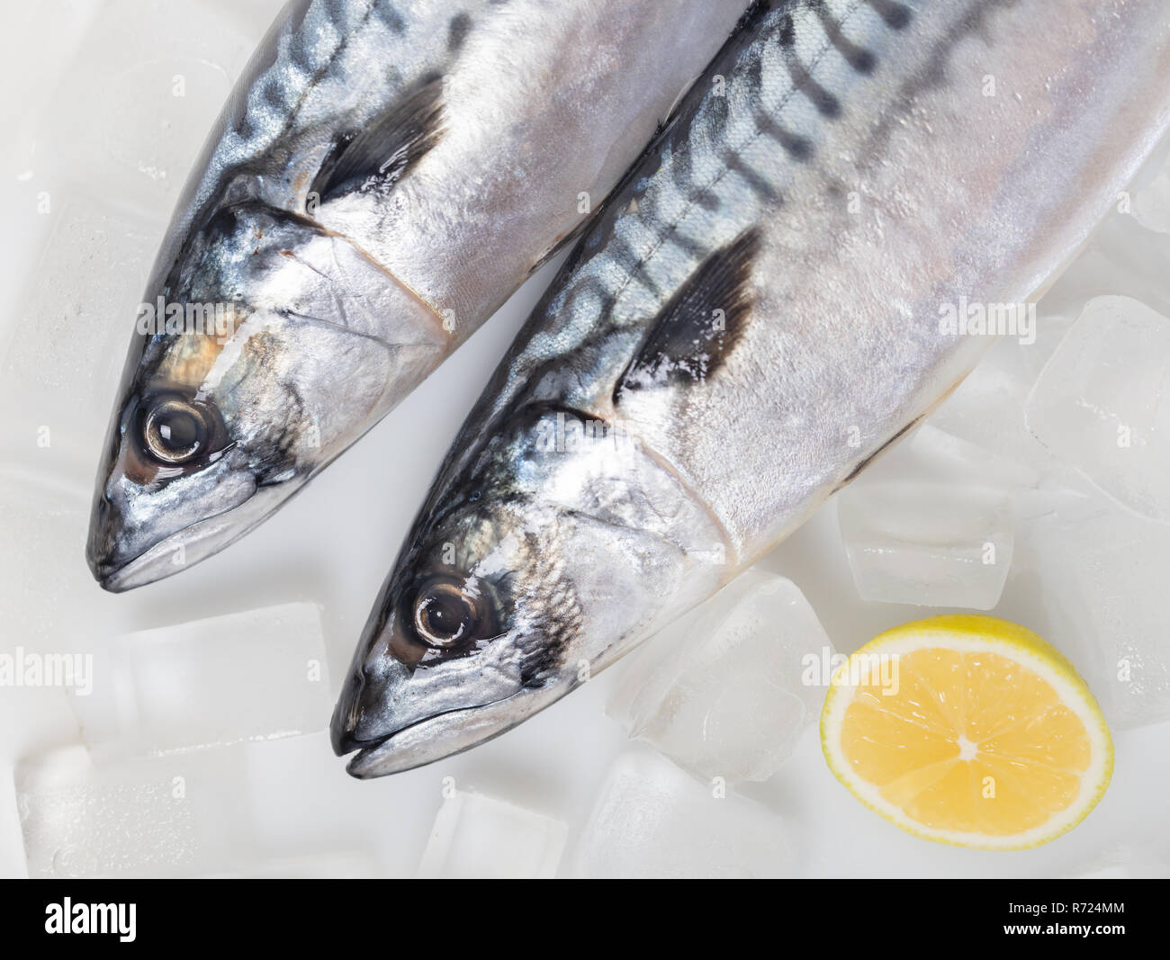 fresh raw mackerel fish on ice background Stock Photo - Alamy