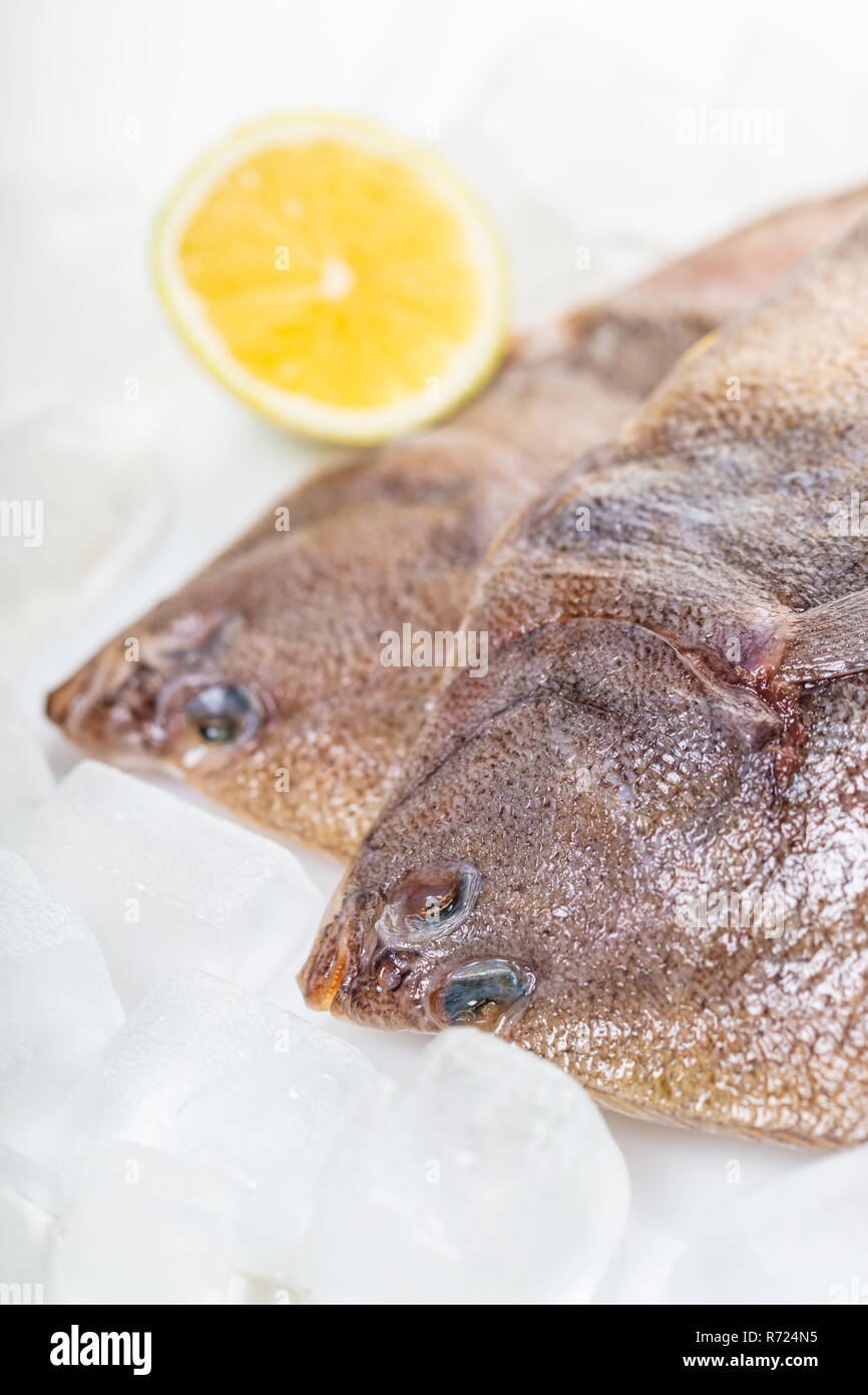 fresh raw flounder fish on ice background Stock Photo - Alamy
