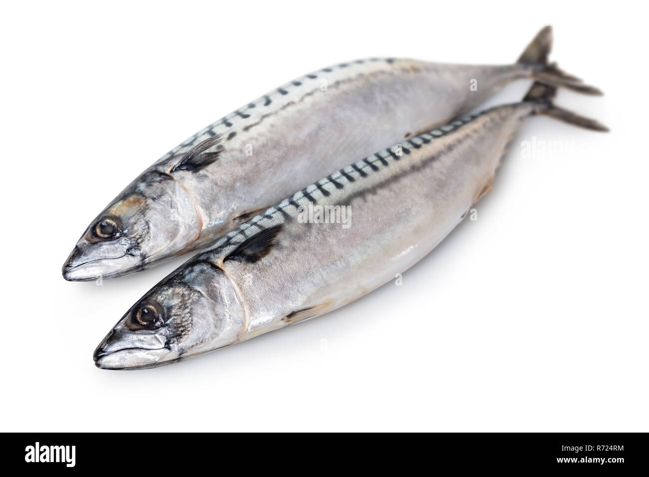 raw mackerel fish on white isolated background Stock Photo - Alamy
