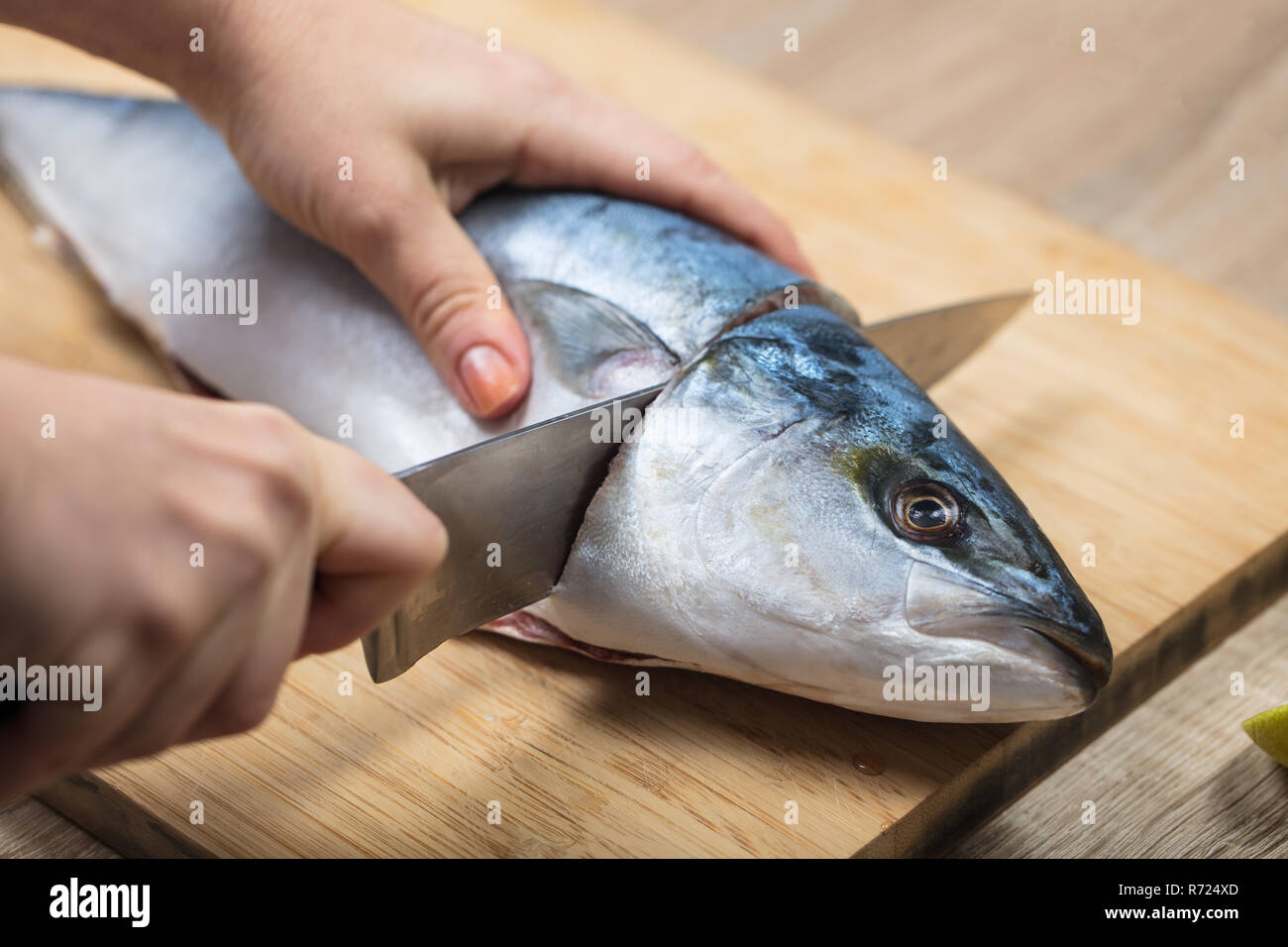 Tuna Fish (bluefin, Cooked)