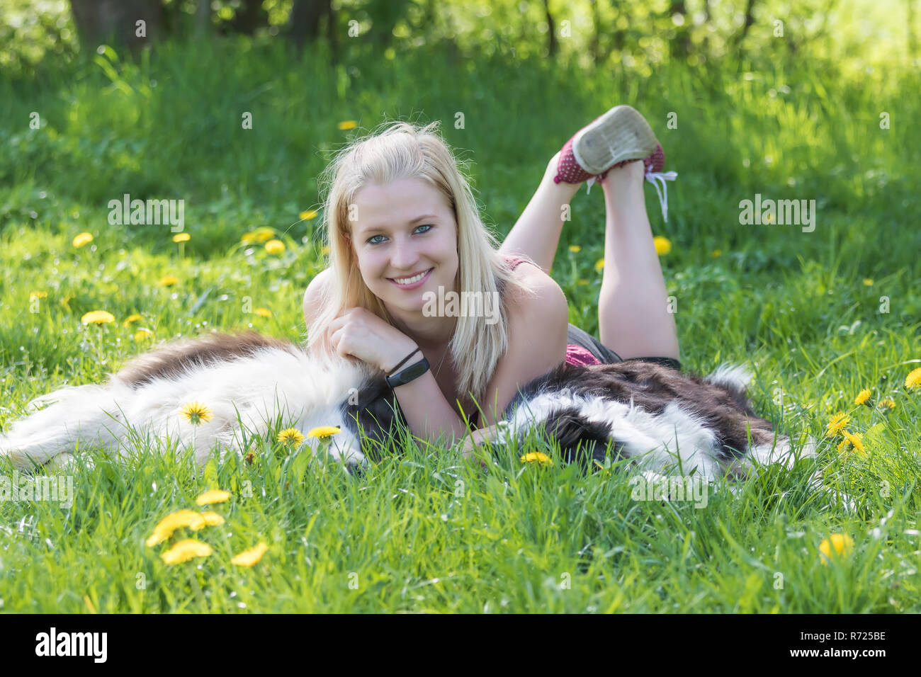 Pretty woman two border collies hi-res stock photography and images - Alamy