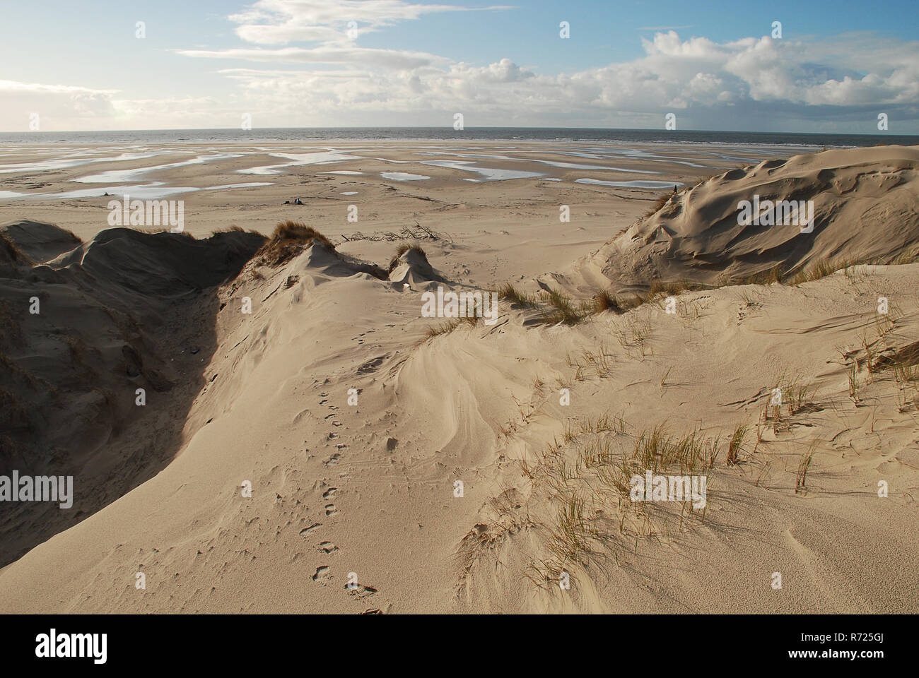 Landscape on Amrum, Germany. Amrum is one of the North Frisian Islands ...