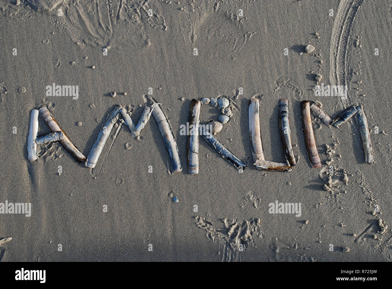 Writing with shells: "Amrum", an northern island in Germany Stock Photo ...