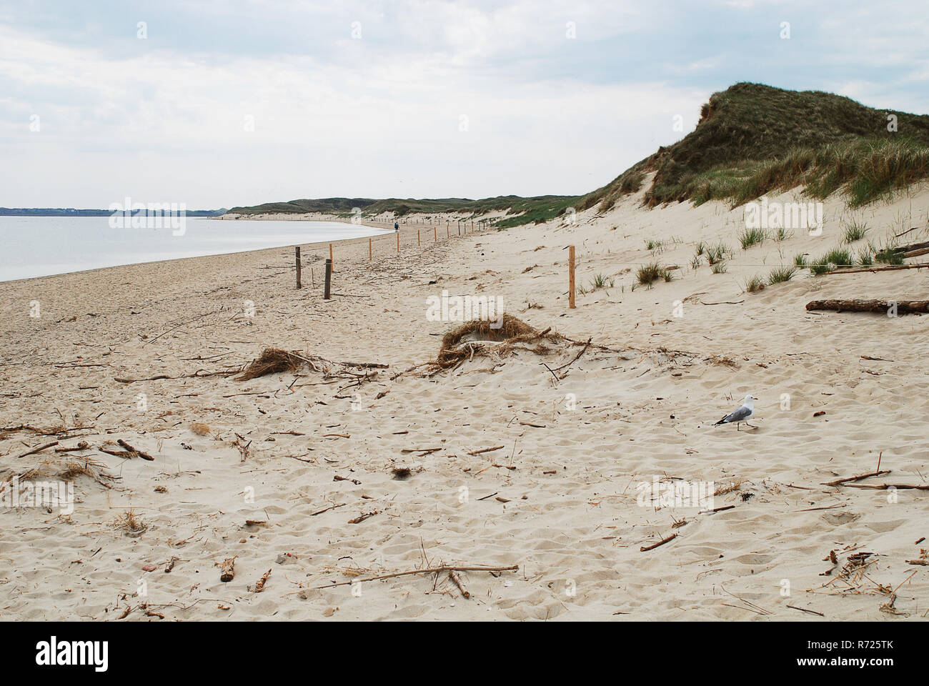Coastal scene on Amrum, Germany. Amrum is one of the North Frisian ...