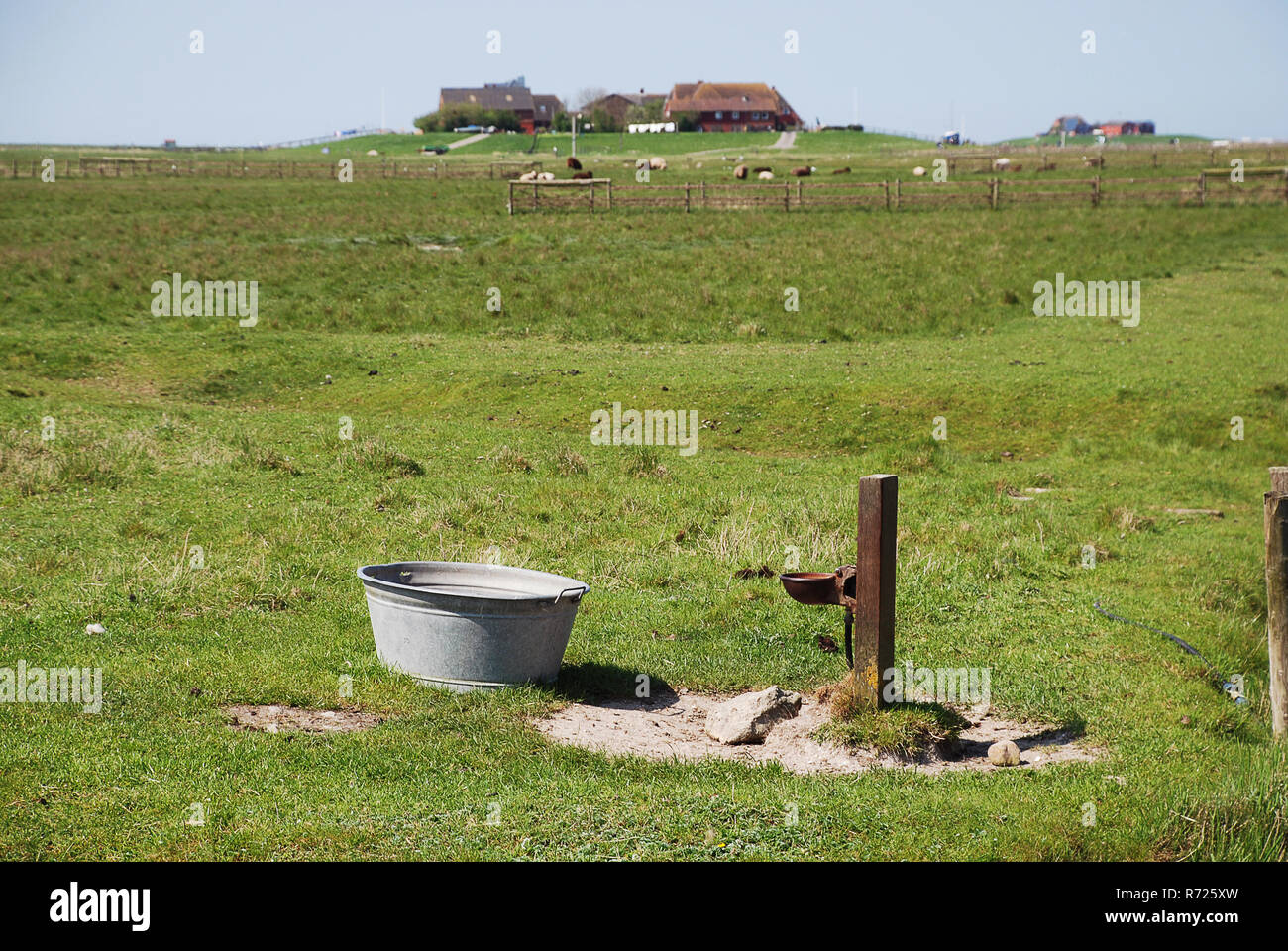 Halligen hi-res stock photography and images - Alamy