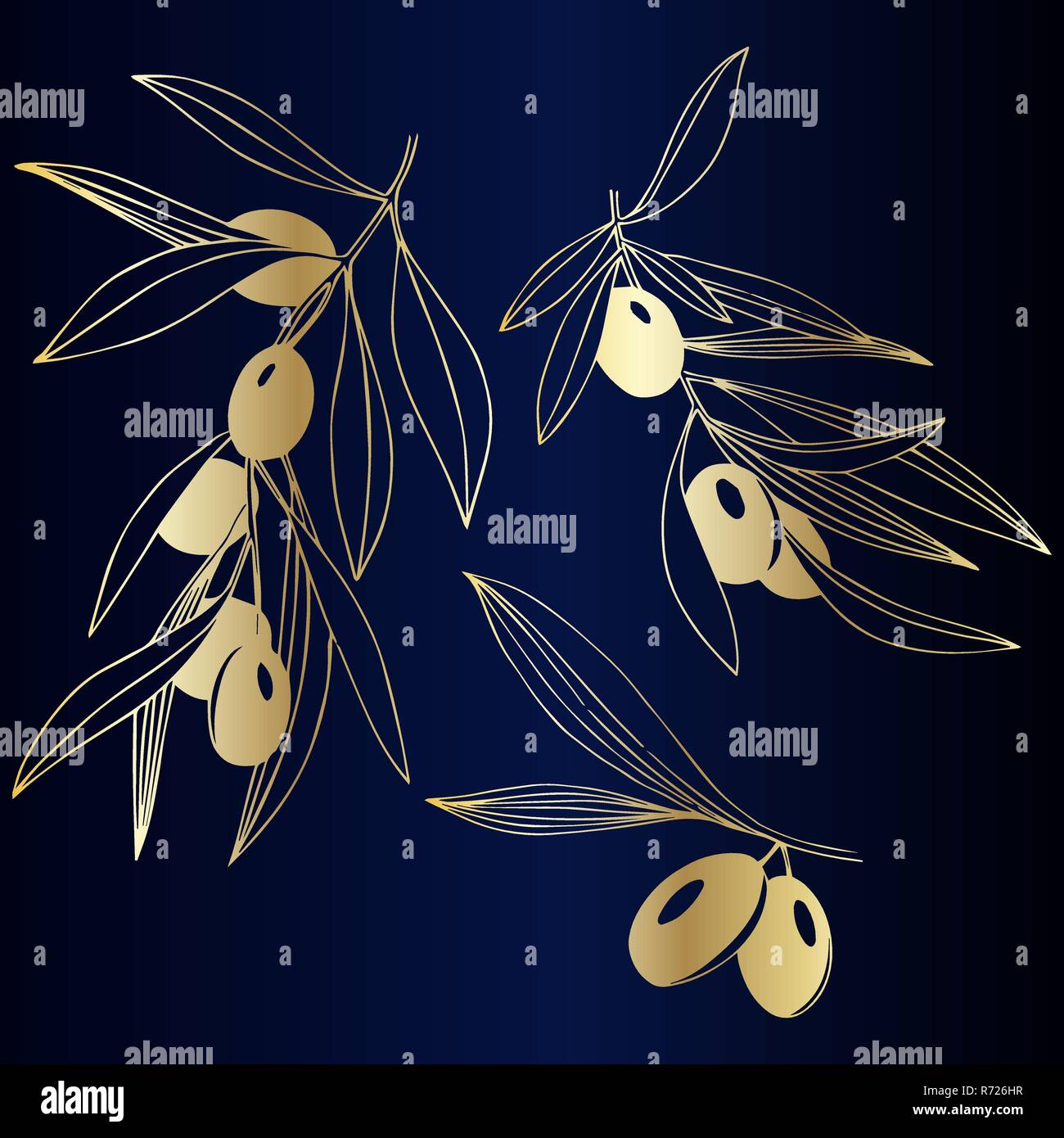 Vector Golden olive branch. Plant botanical foliage. Golden engraved ...