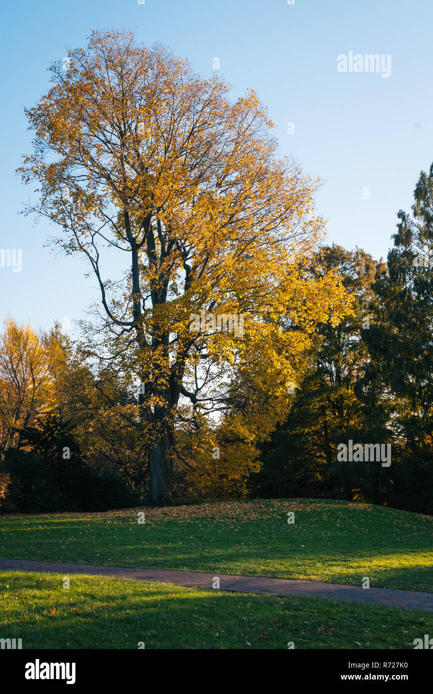 Fall color at Wave Hill Gardens, in the Bronx, New York City Stock ...