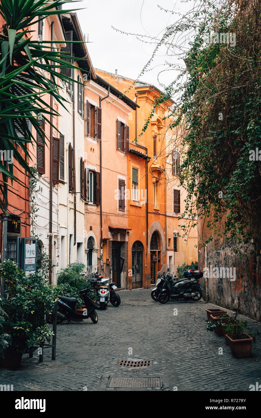 Vicolo del Cedro, a colorful cobblestone street in Trastevere, Rome ...