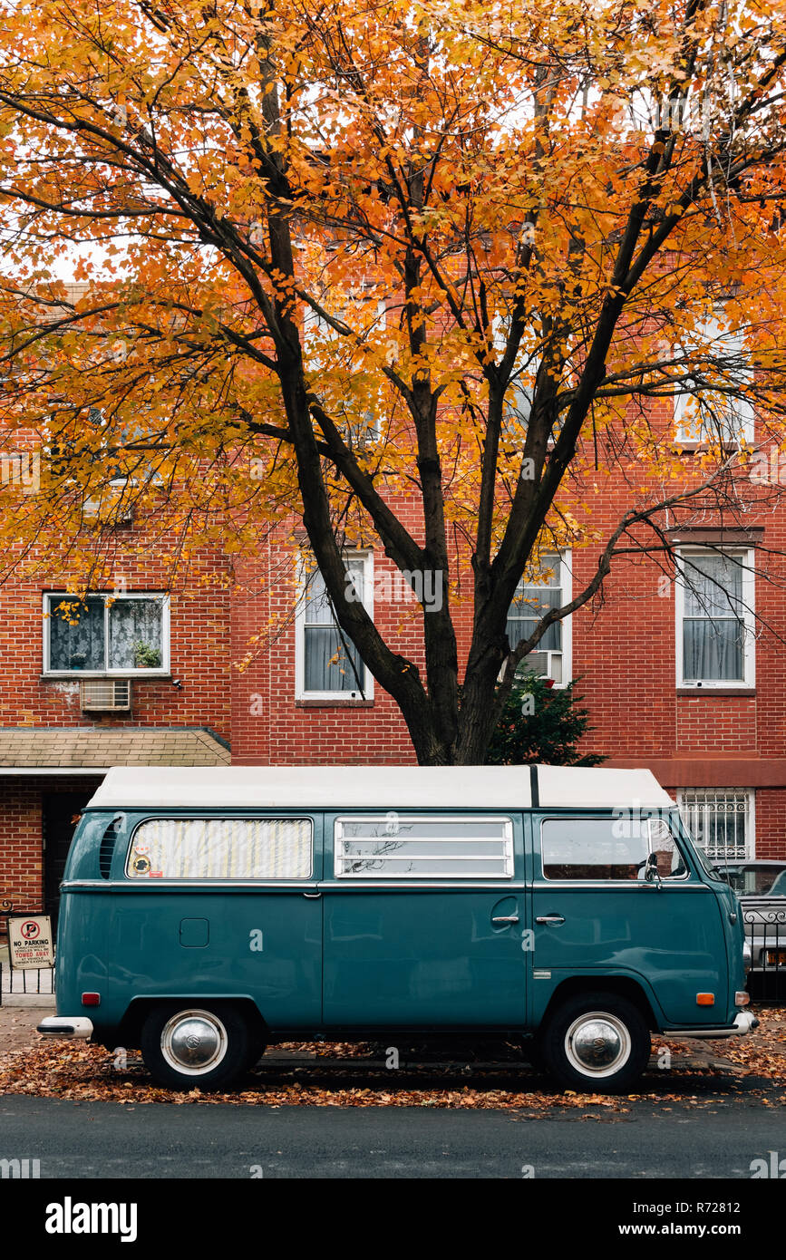 A VW van and fall color in Greenpoint, Brooklyn, New York City Stock ...