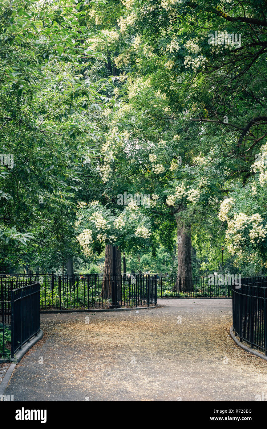 Tompkins square park hi-res stock photography and images - Alamy