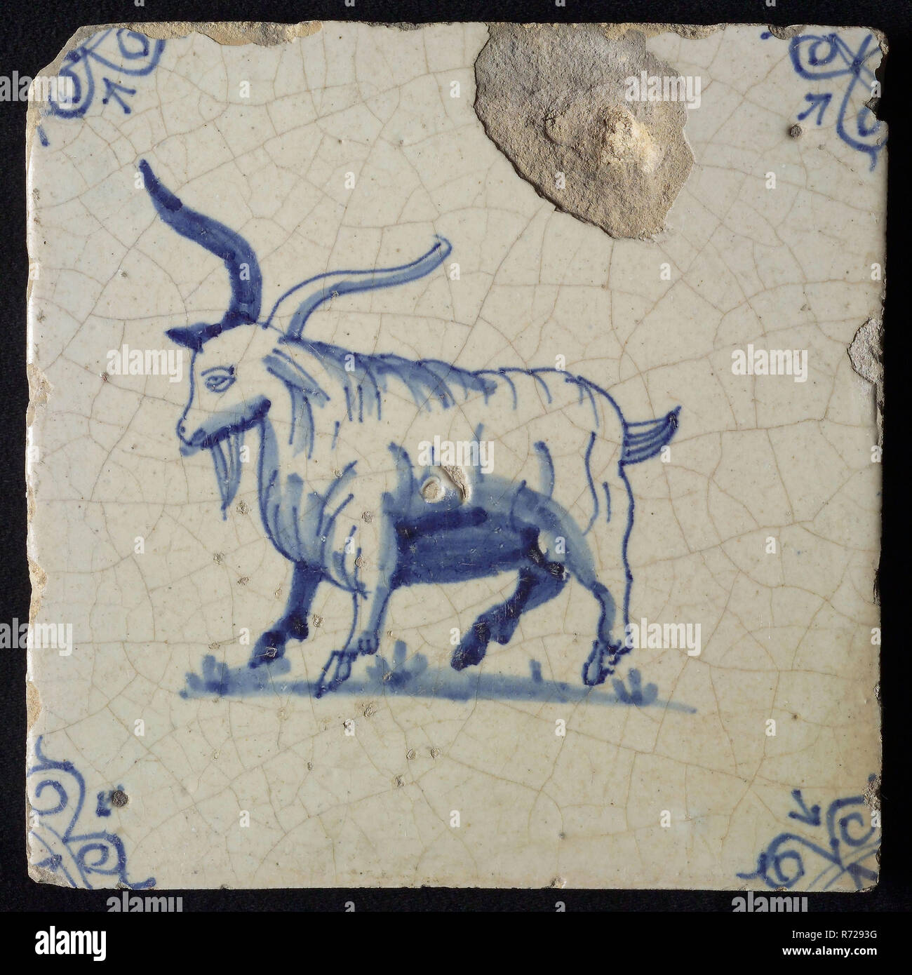 Long haired goat hi-res stock photography and images - Alamy