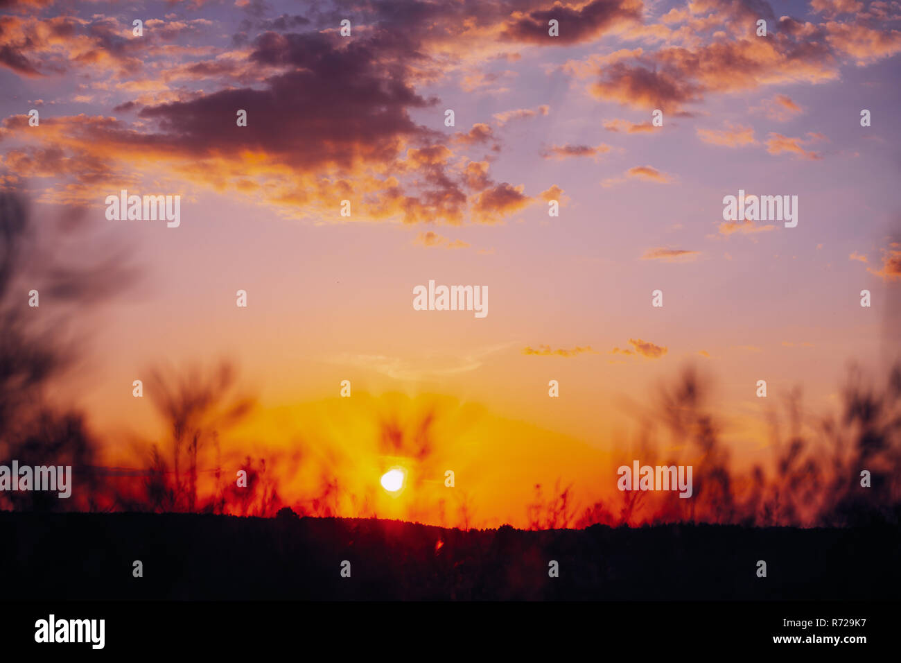 Color colour sky purple blue silhouette hi-res stock photography and ...