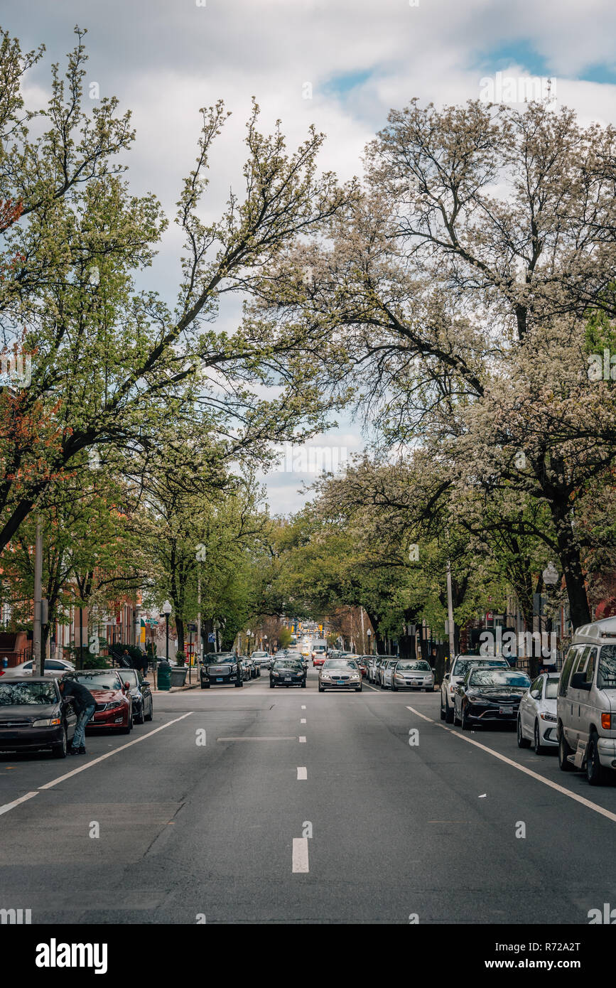 Spring colors on Charles Street, in Charles Village, Baltimore ...