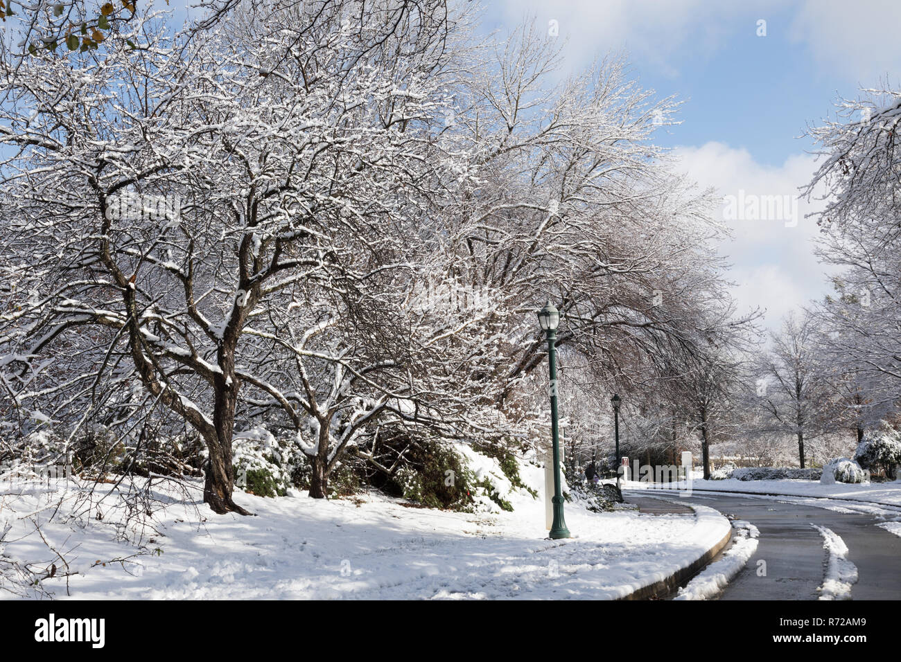 Lamp post snow hi-res stock photography and images - Alamy