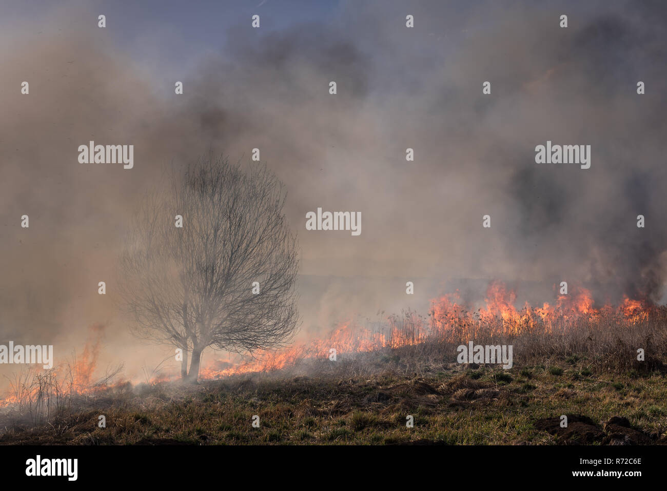 Burn ash hi-res stock photography and images - Alamy