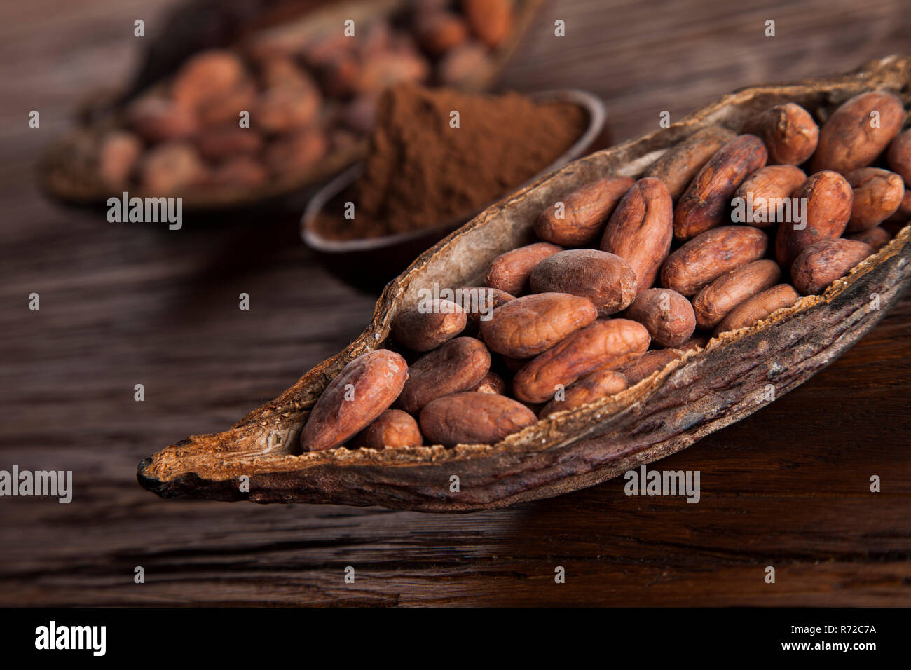 Cocoa beans in the dry cocoa pod fruit on wooden background Stock Photo ...