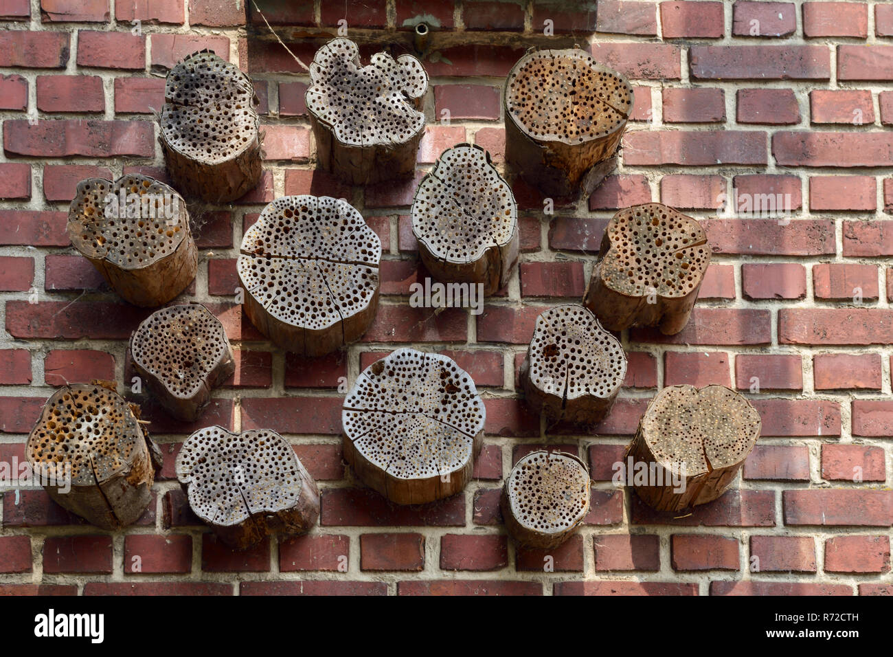 Insect boxes, insect asylum, insectshotels, artificial help for nesting ...