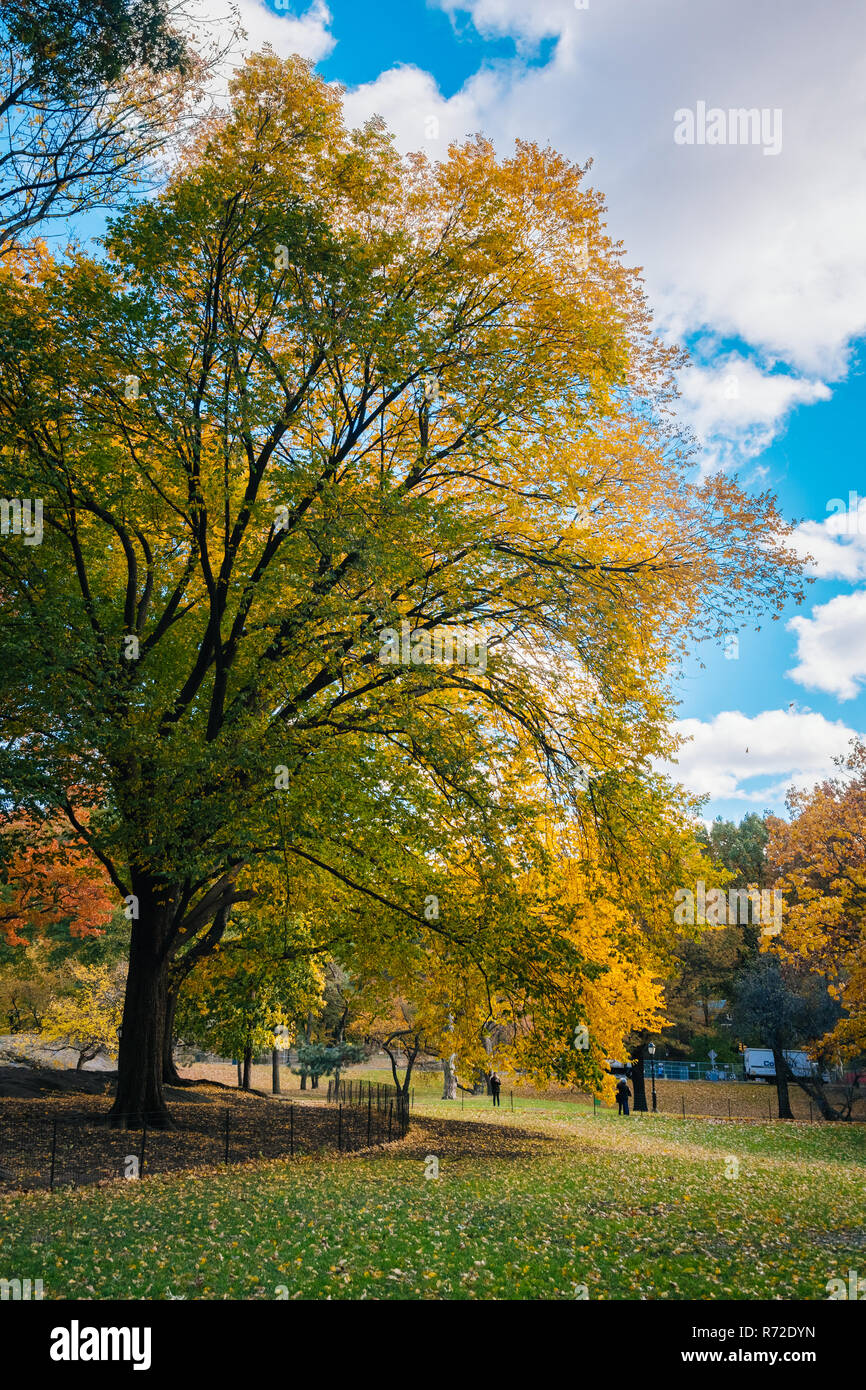 Autumn color at Central Park, in Manhattan, New York City Stock Photo ...