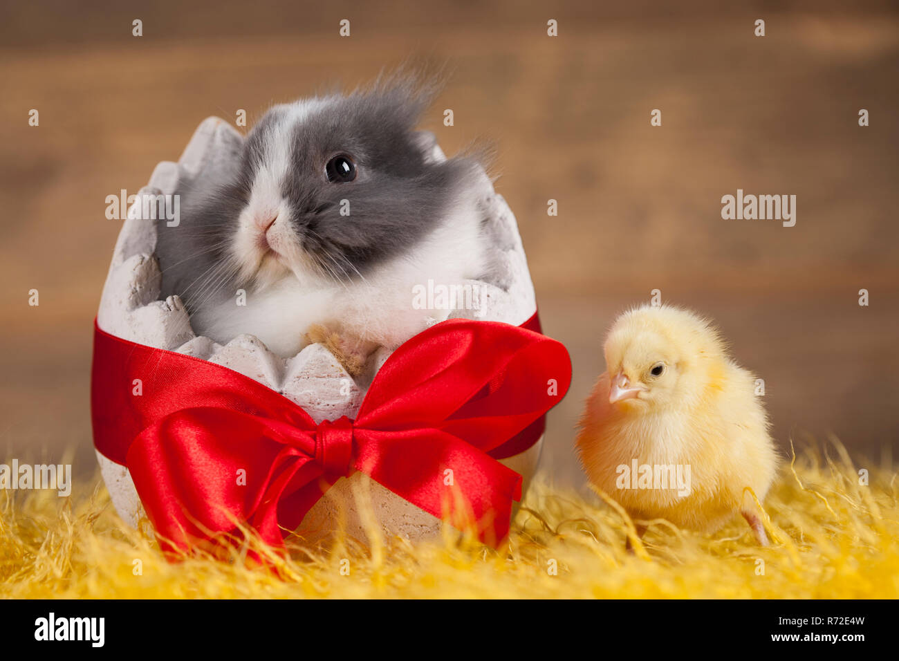Easter Bunny and Chick Stock Photo - Alamy