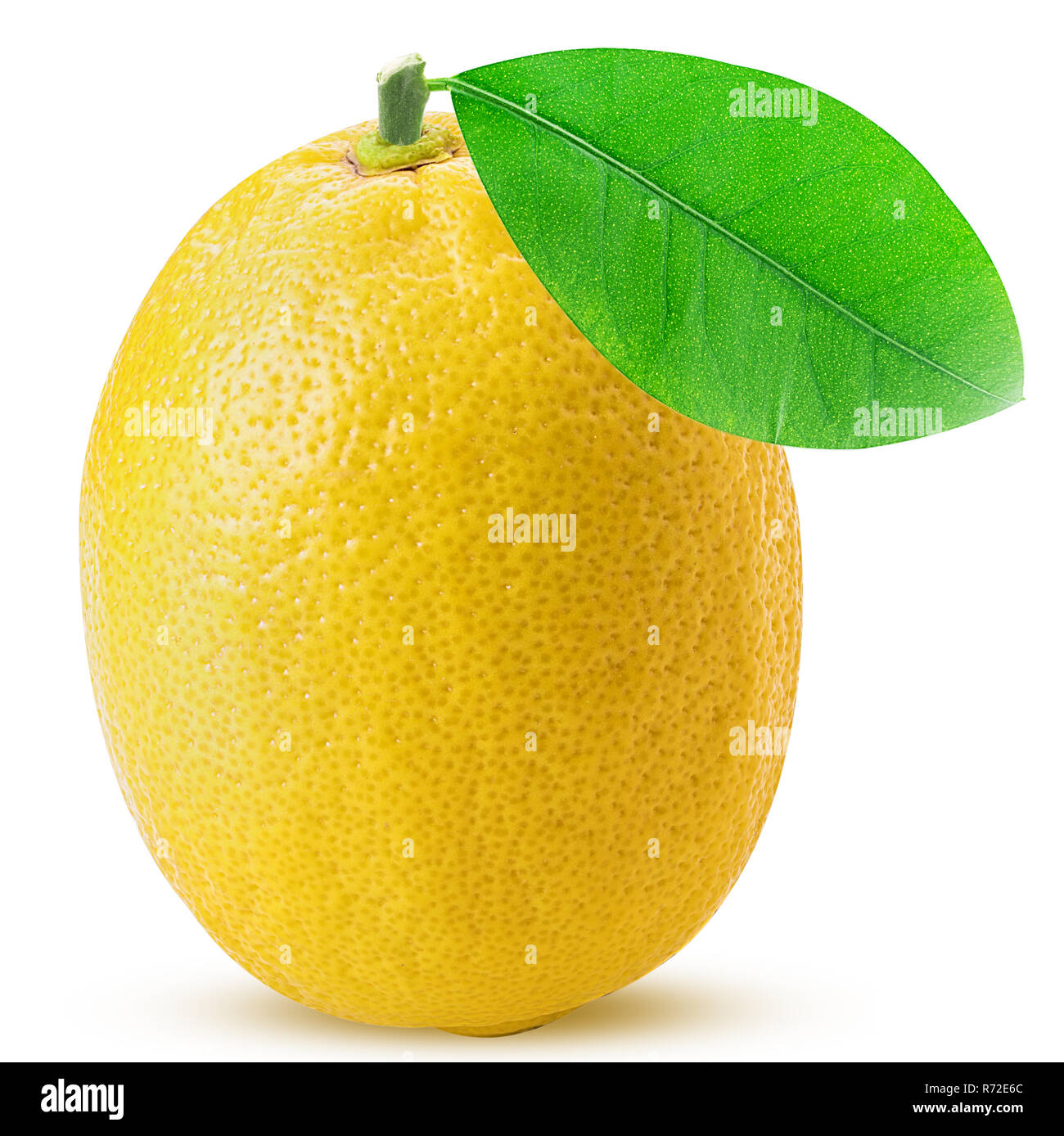 Lemon with leaf isolated on white background Clipping Path. Full depth ...