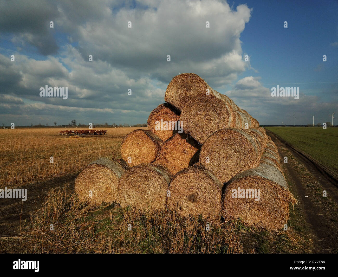 Farmer ground flour hi-res stock photography and images - Alamy