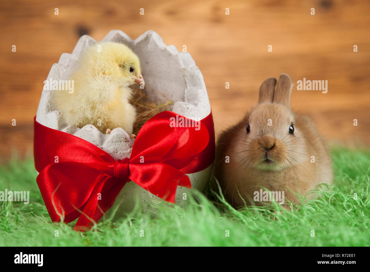 Easter Bunny and Chick Stock Photo - Alamy