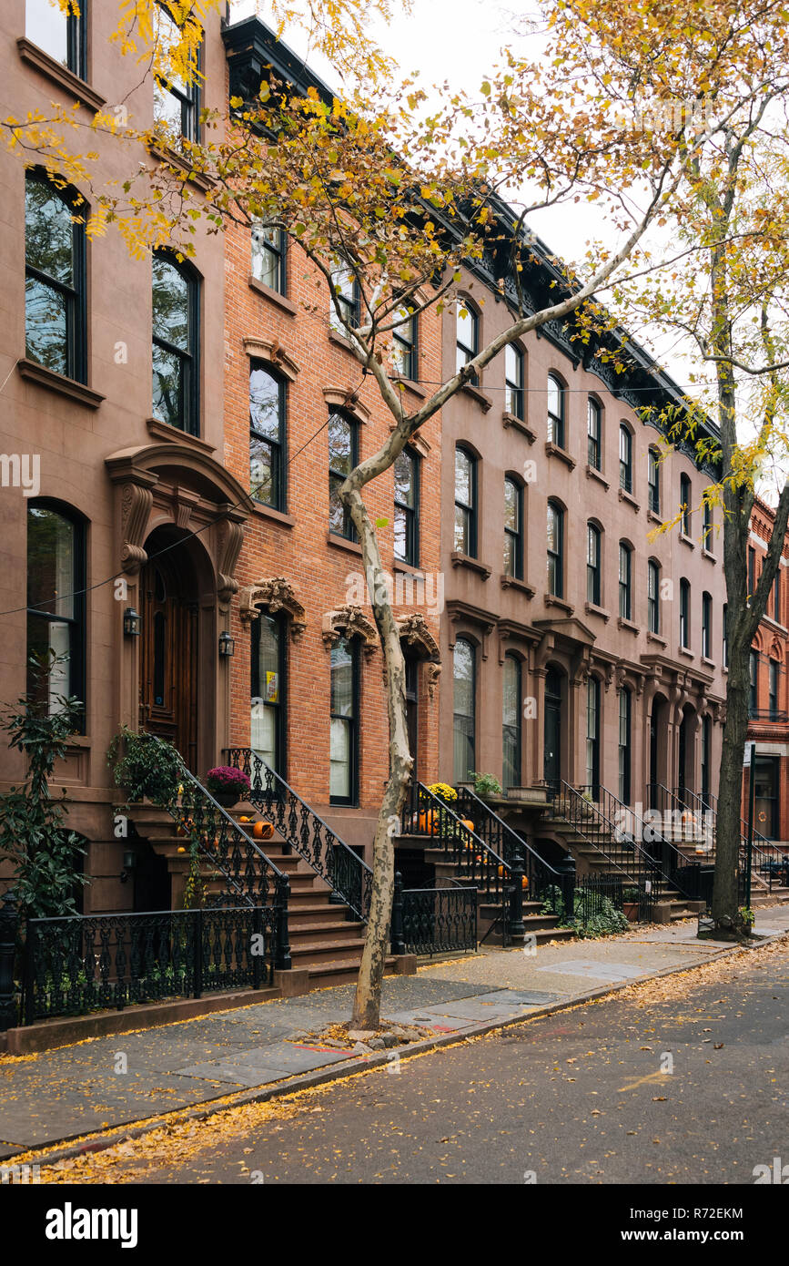 Brownstones and fall color in Brooklyn Heights, New York City Stock ...