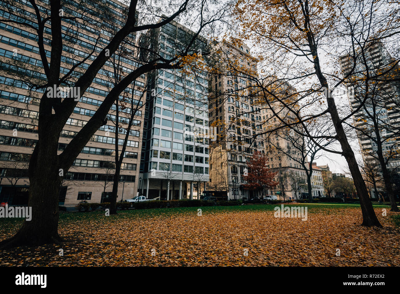 Autumn leaves at Rittenhouse Square Park, in Philadelphia, Pennsylvania ...