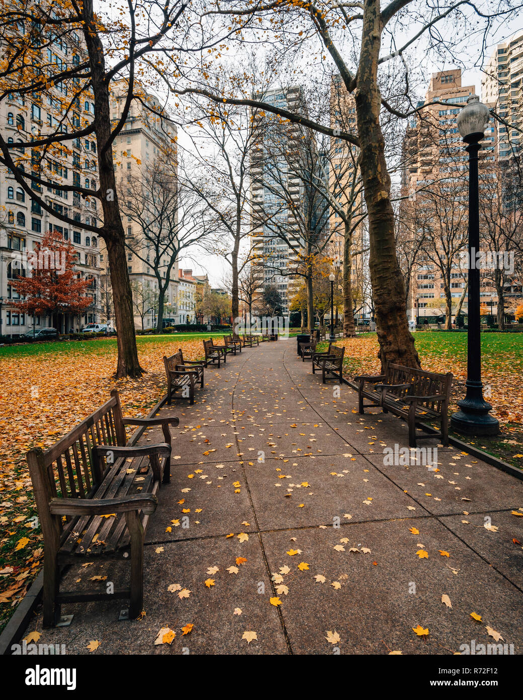 Autumn color and walkway at Rittenhouse Square Park, in Philadelphia ...