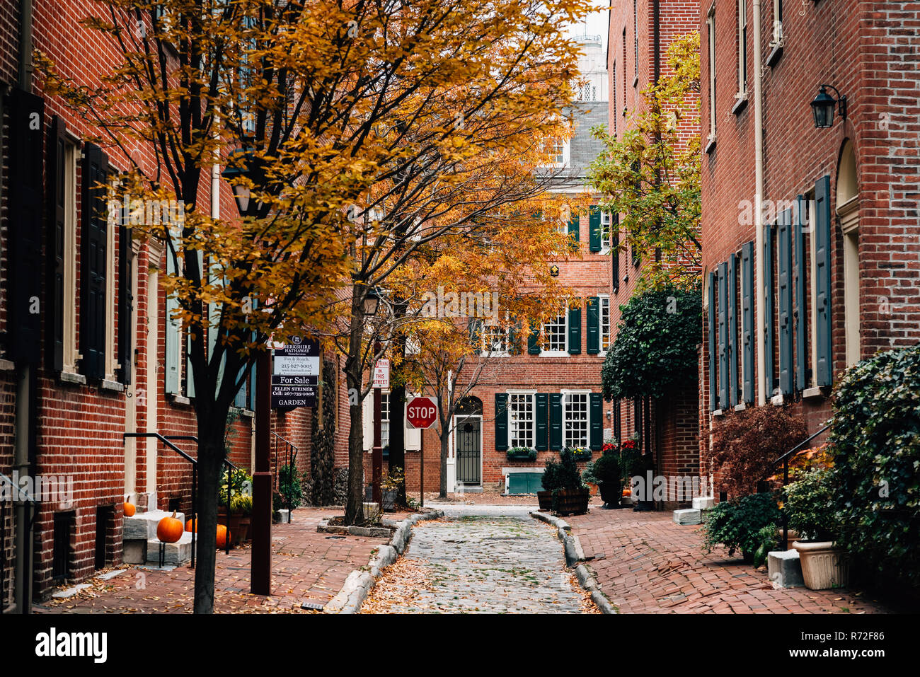 Autumn color along Philip Street in Society Hill, Philadelphia ...