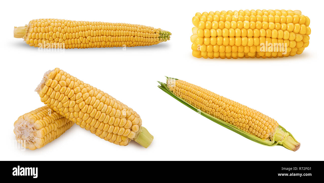 Set Ear of corn. Fresh corncob, whole, cut in half isolated on a white ...