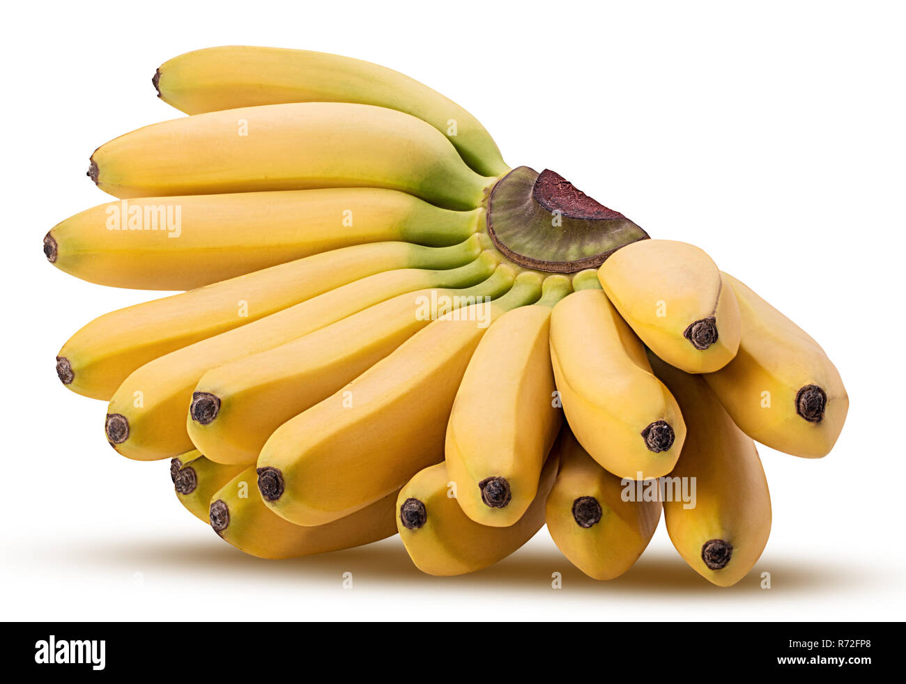 Baby bananas isolated on white background. Clipping Path. Full depth of ...