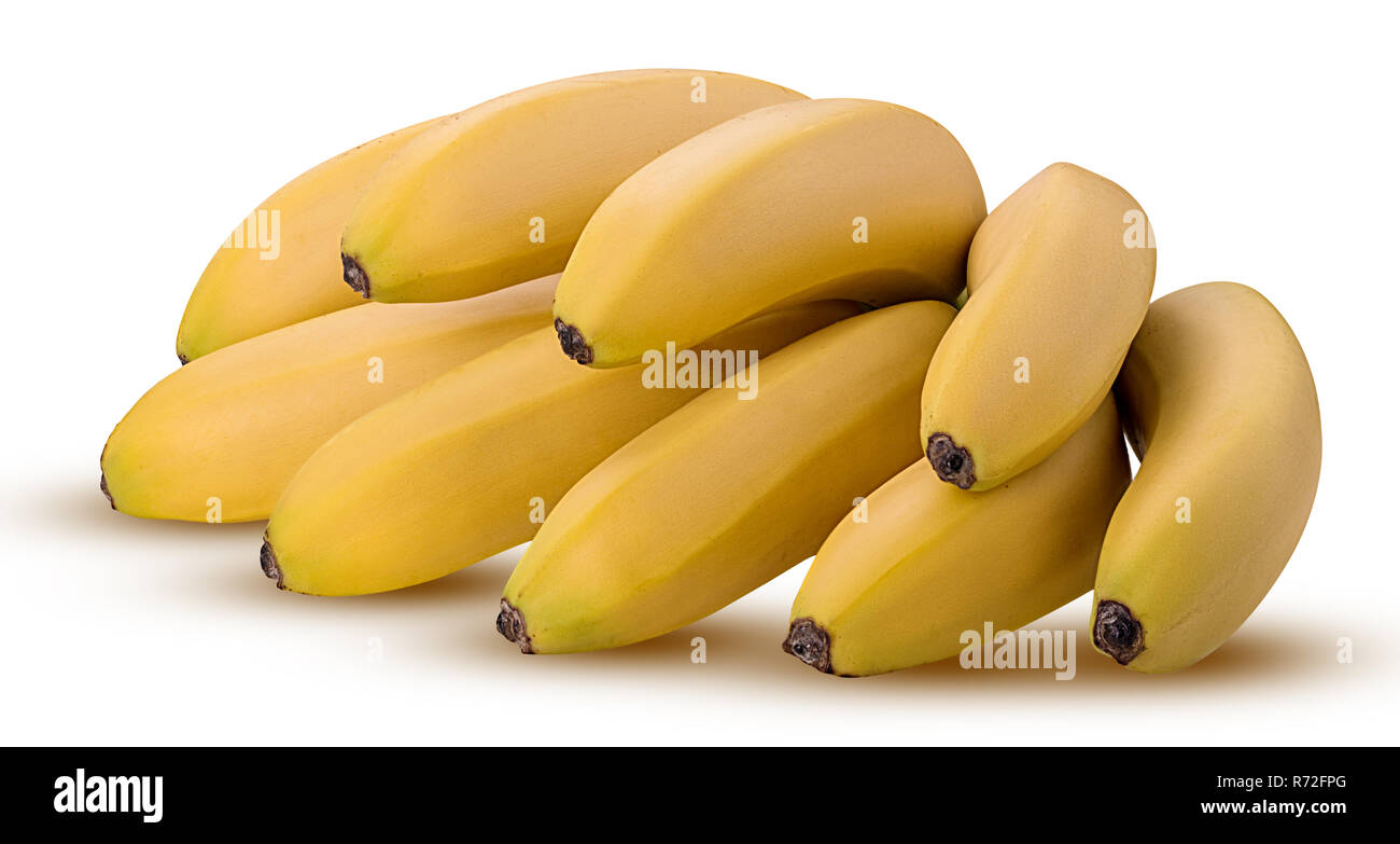 Branch baby bananas isolated on white background. Clipping Path. Full ...