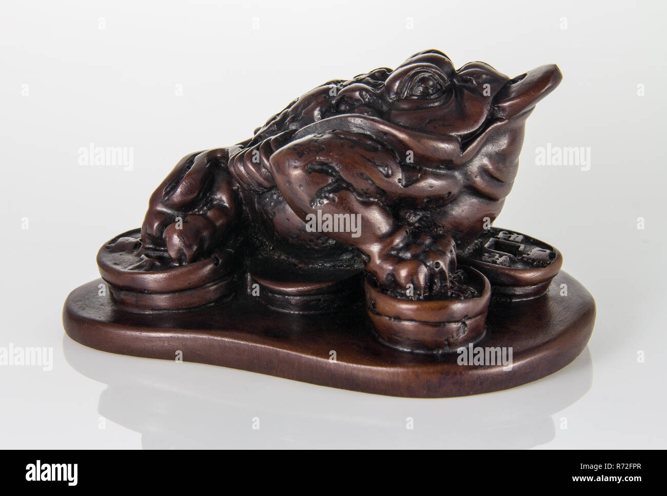 Three legged toad hi-res stock photography and images - Alamy