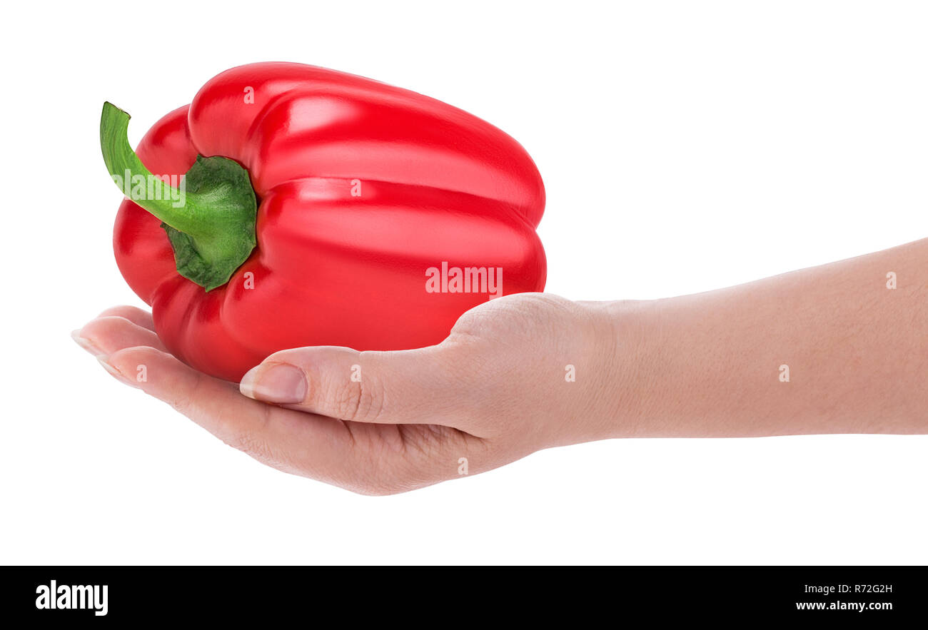Red bell pepper in hand isolated on white background. Clipping Path ...