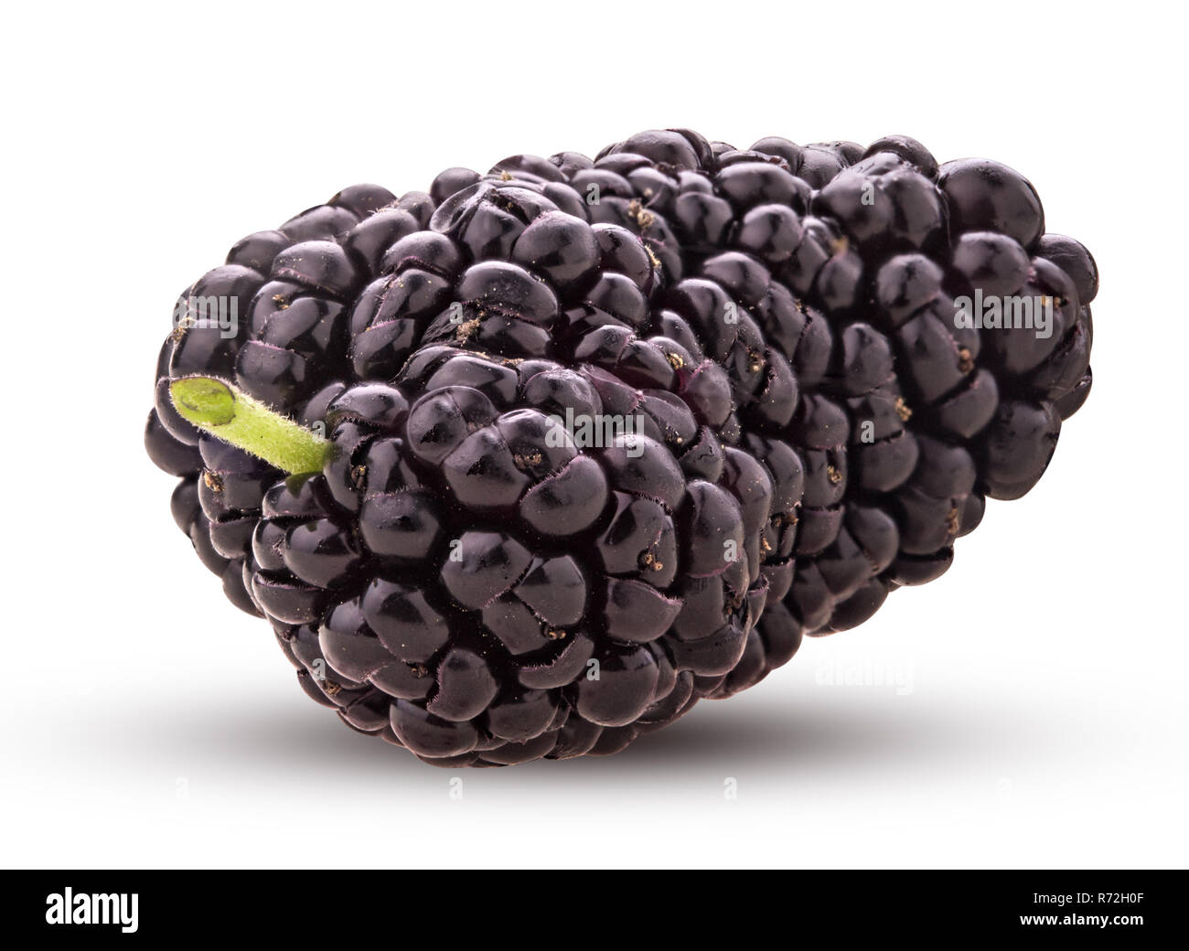 Mulberry berry isolated on white background. Clipping Path. Full depth ...