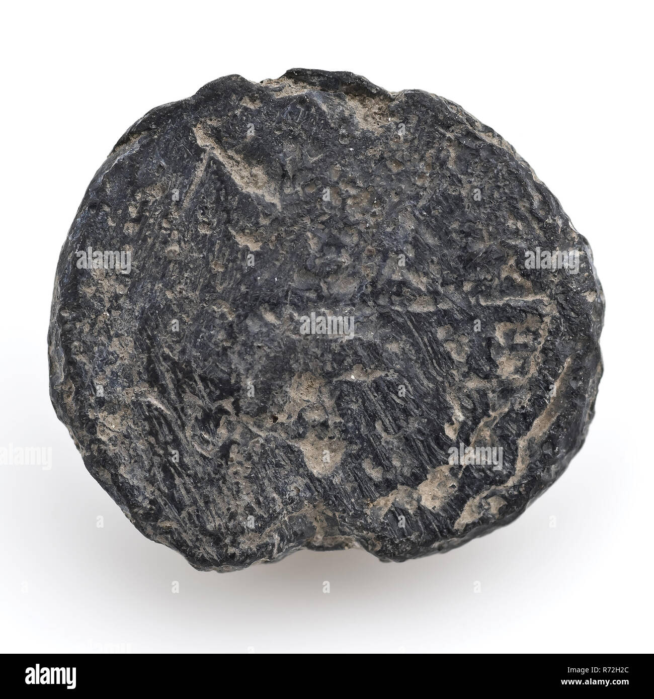 Rotterdam archeology hi-res stock photography and images - Alamy