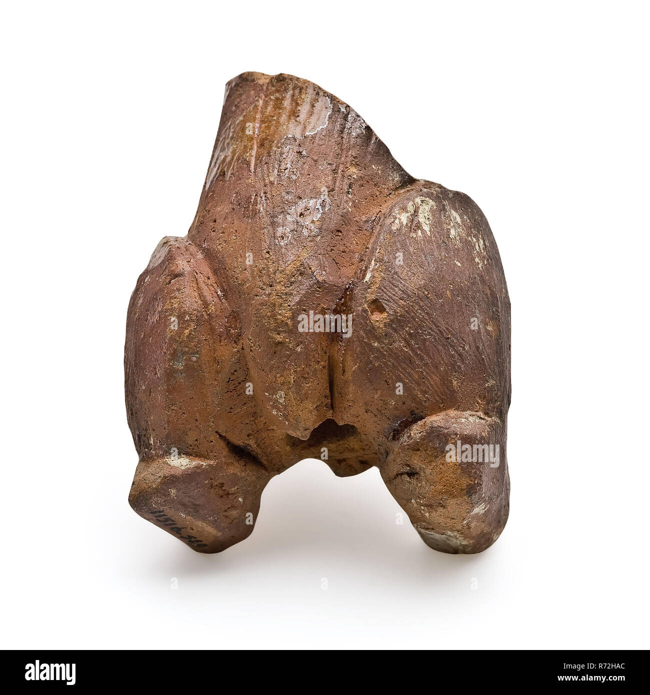 Dutch monkey Cut Out Stock Images & Pictures - Alamy