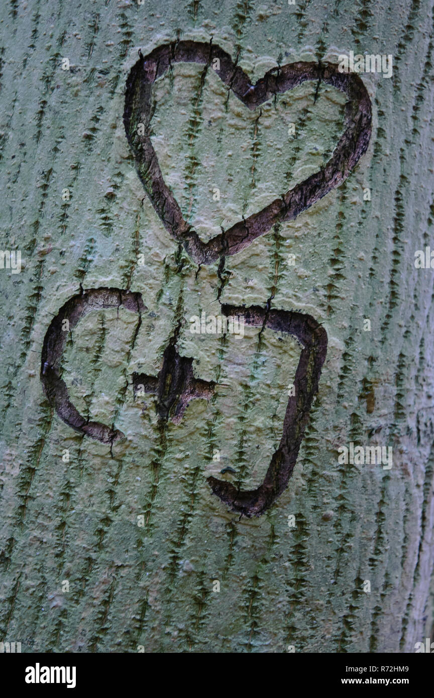 Tree carvings love hi-res stock photography and images - Alamy