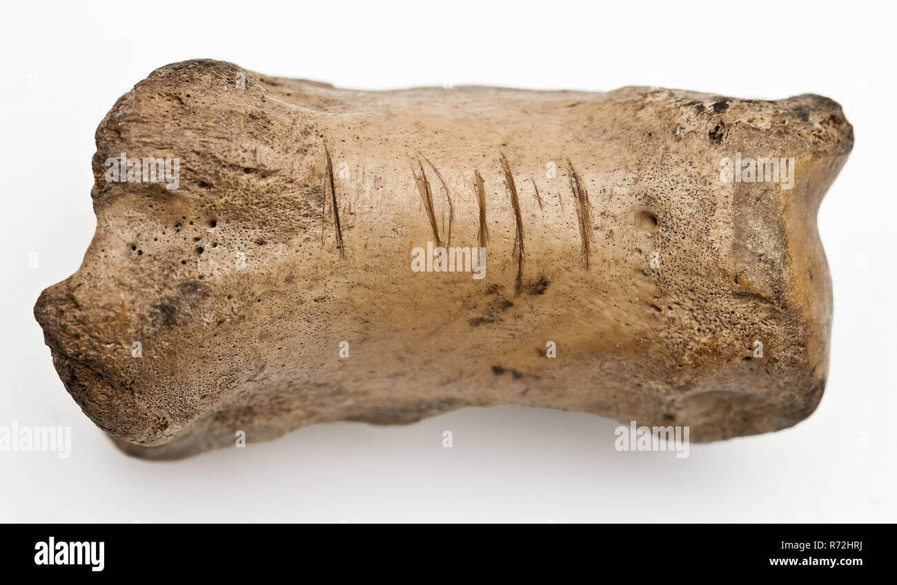 Digit from cow's leg, part of throwing game: flocks, koot game piece ...